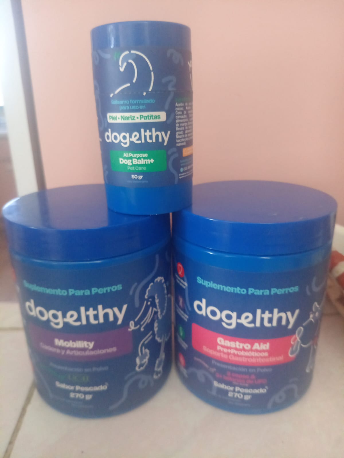 Landing Page Mobility V1 – Dogelthy