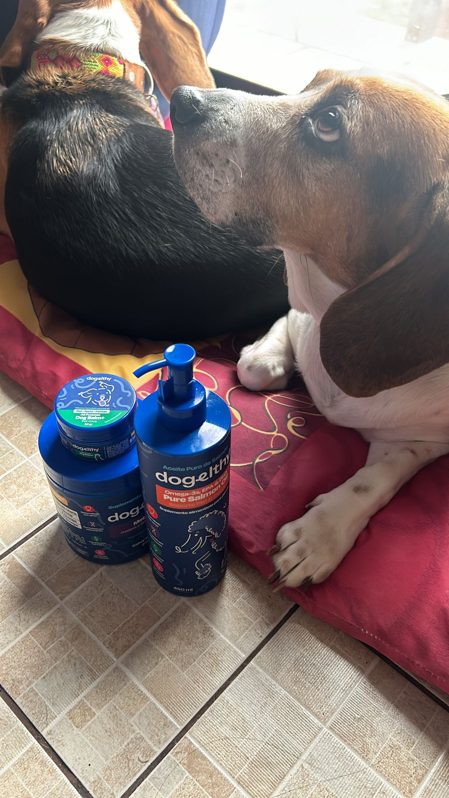 Active Pup Kit – Dogelthy