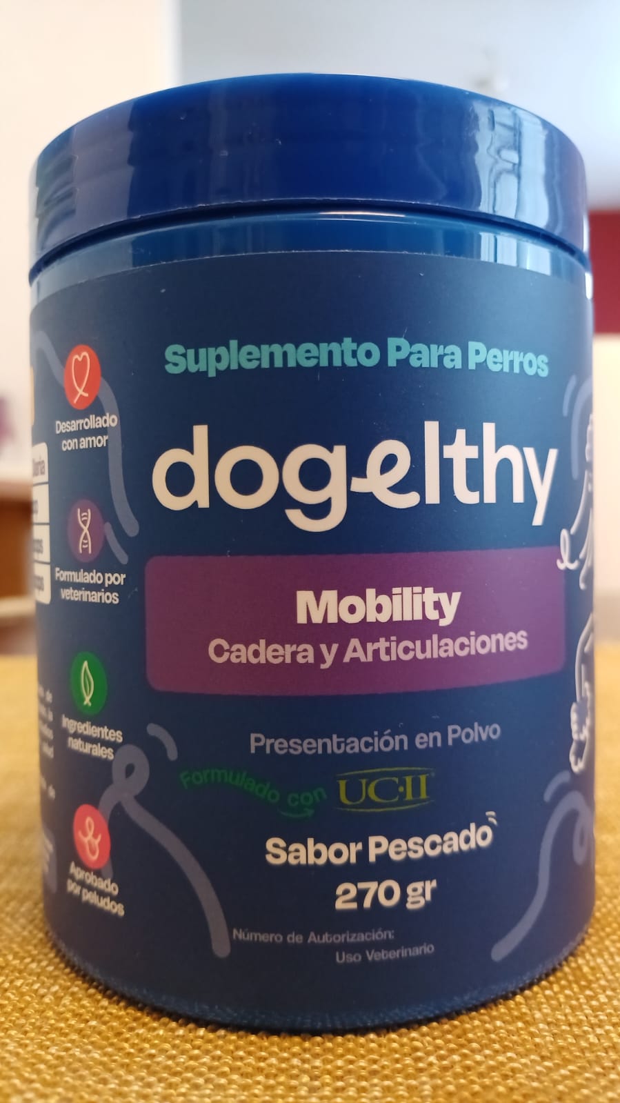 Landing Page Mobility V1 – Dogelthy