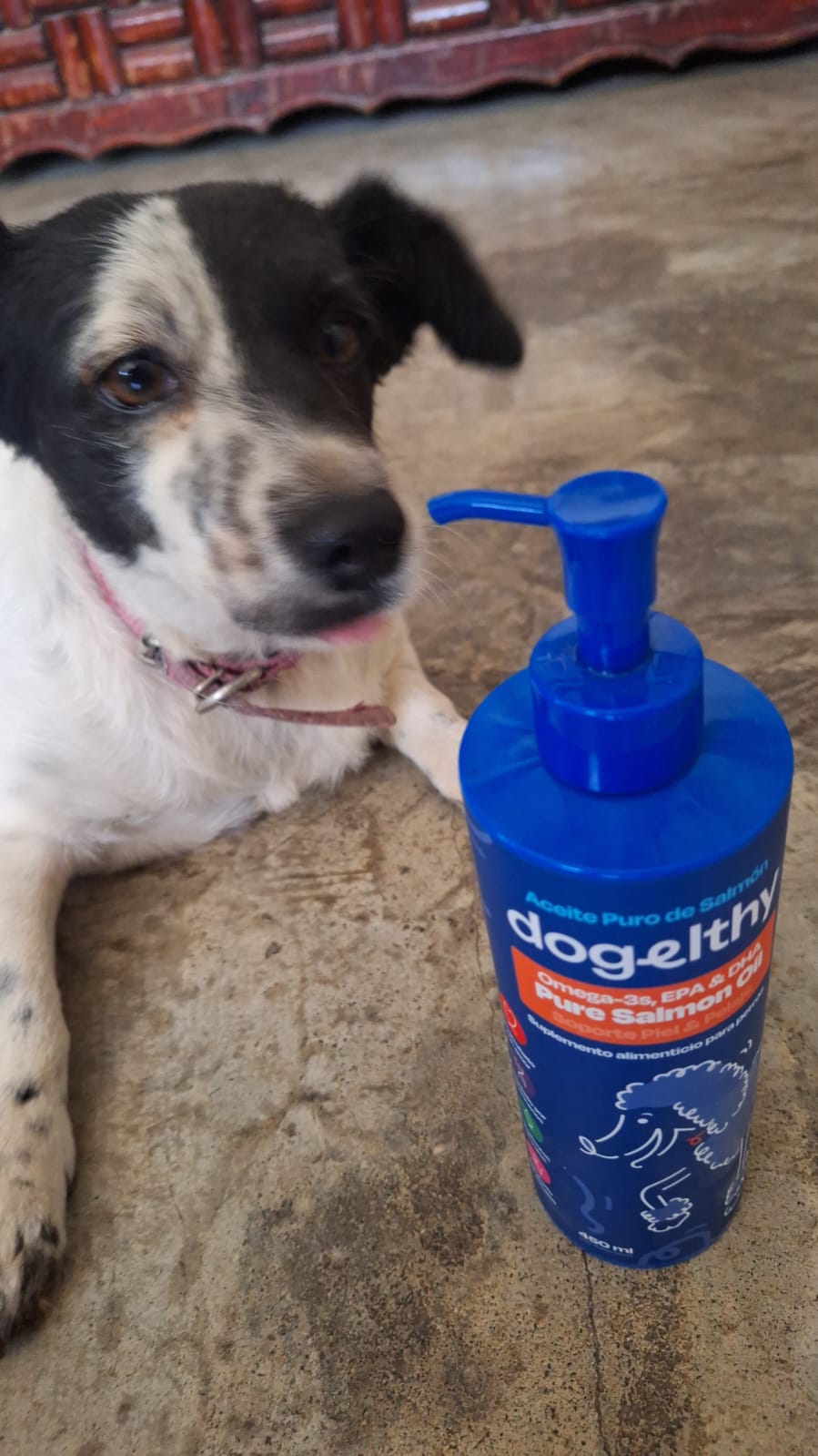 Pure Salmon Oil Dogelthy