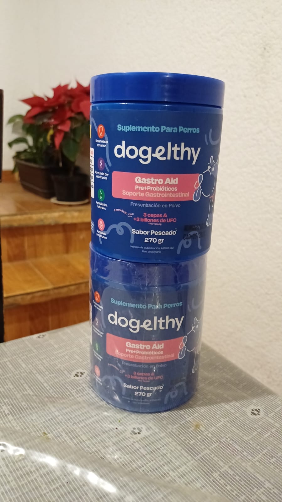 Comunidad – Dogelthy