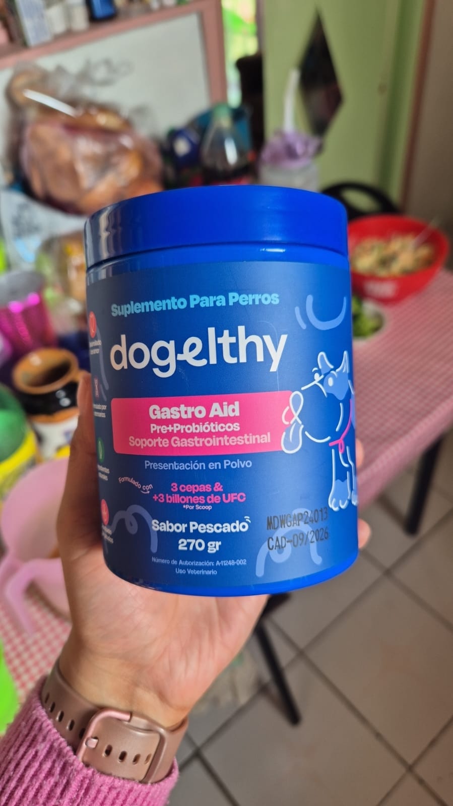 Comunidad – Dogelthy