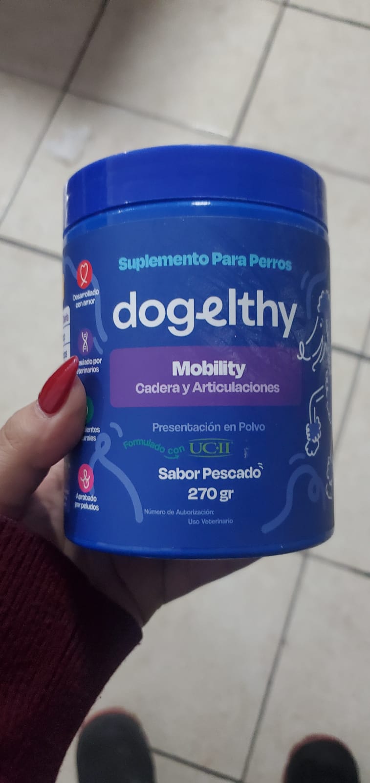 Landing Page Mobility V1 – Dogelthy