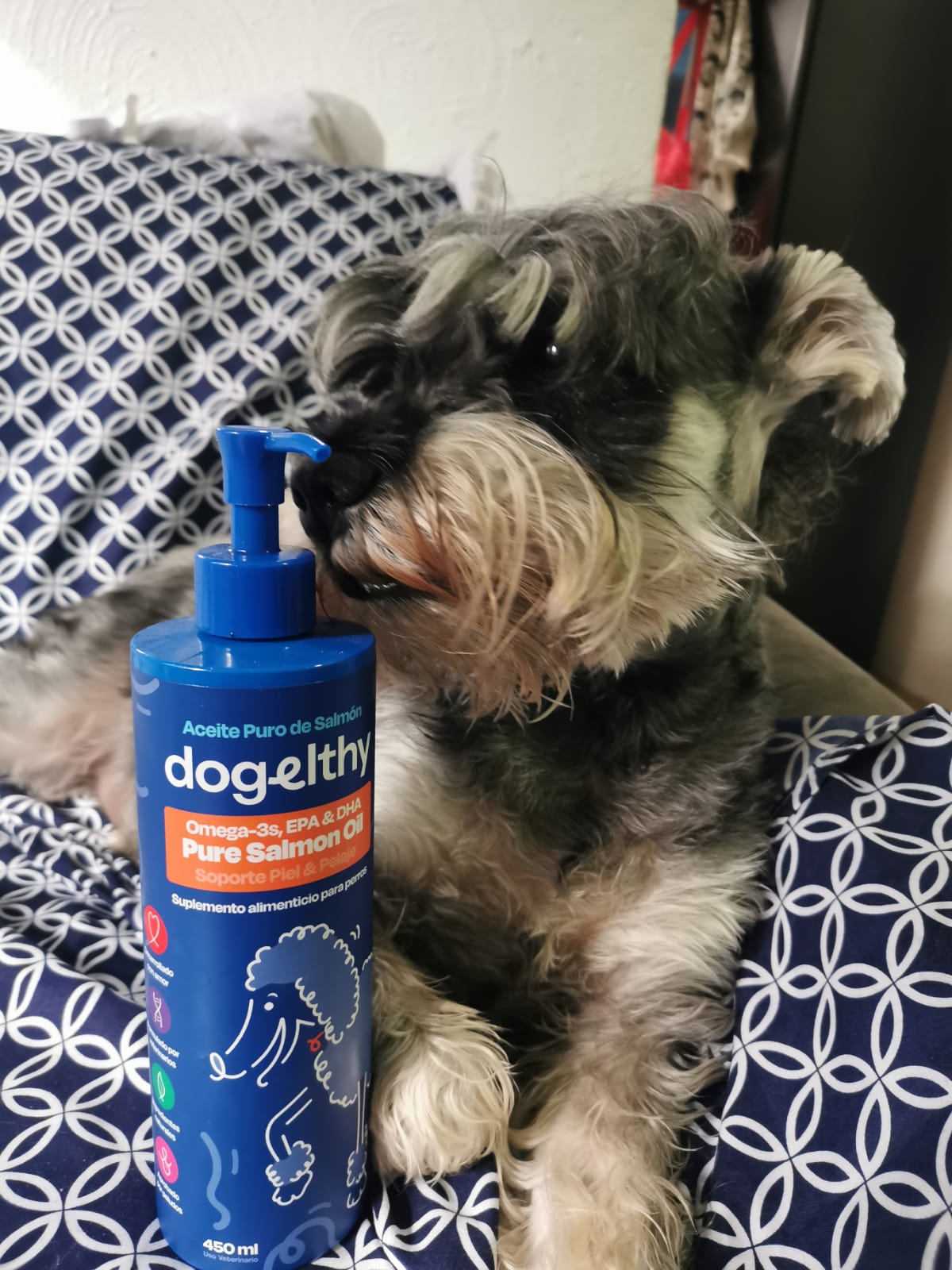 Active Pup Kit – Dogelthy