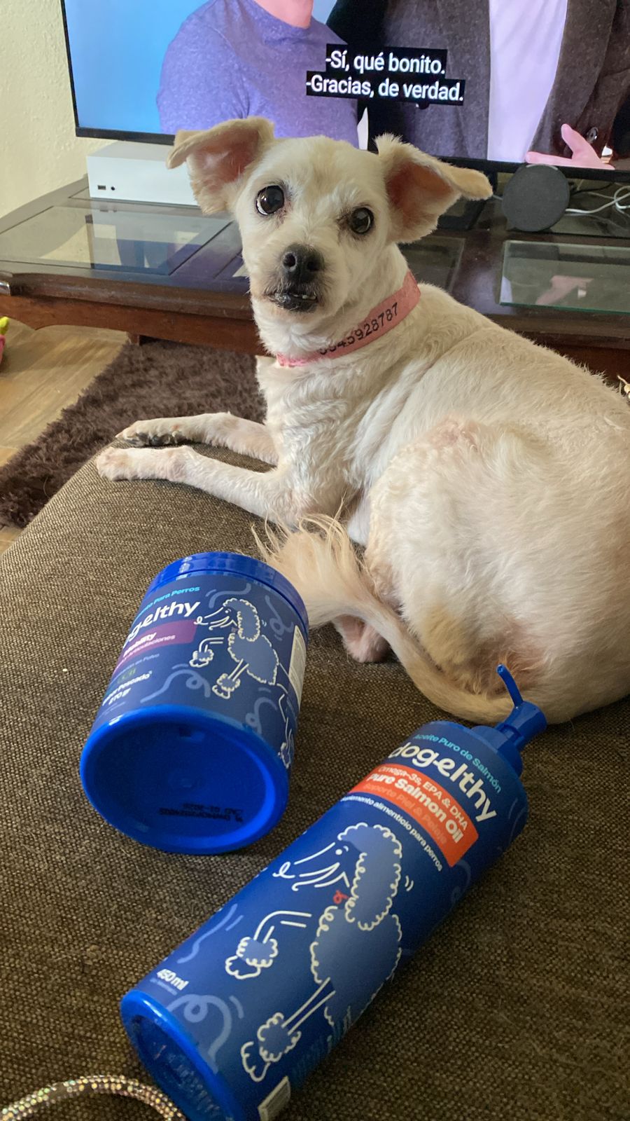 Pure Salmon Oil Dogelthy