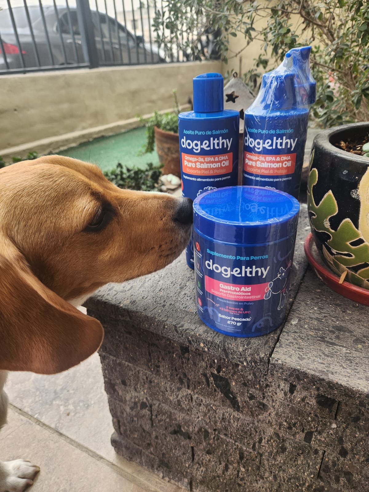 Pure Salmon Oil Dogelthy