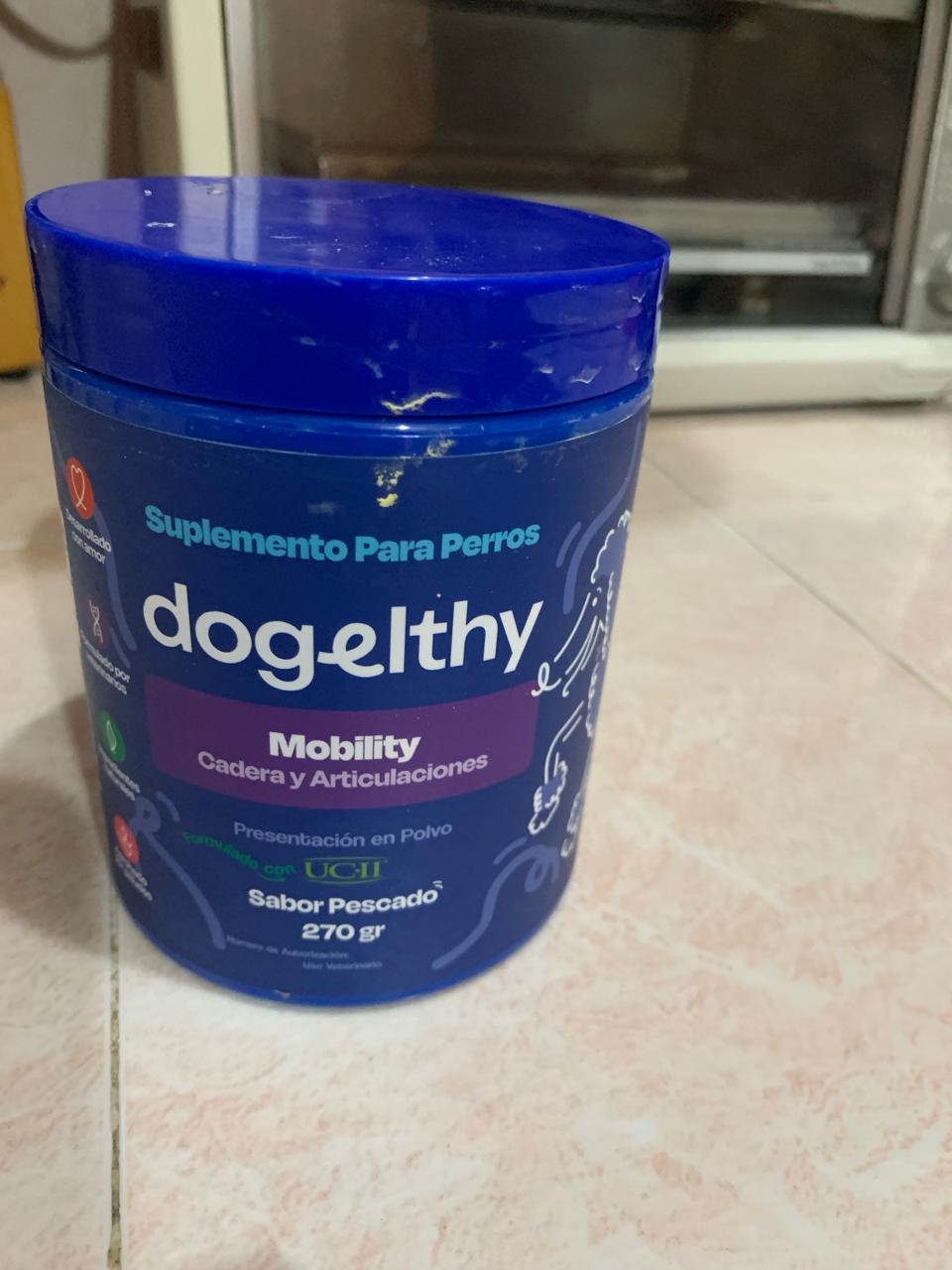 Landing Page Mobility V1 – Dogelthy